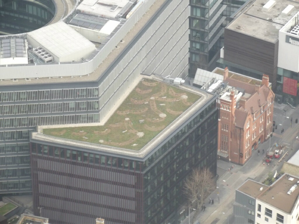 The Ham and Egger Files: Rooftop Minigolf Courses in London!