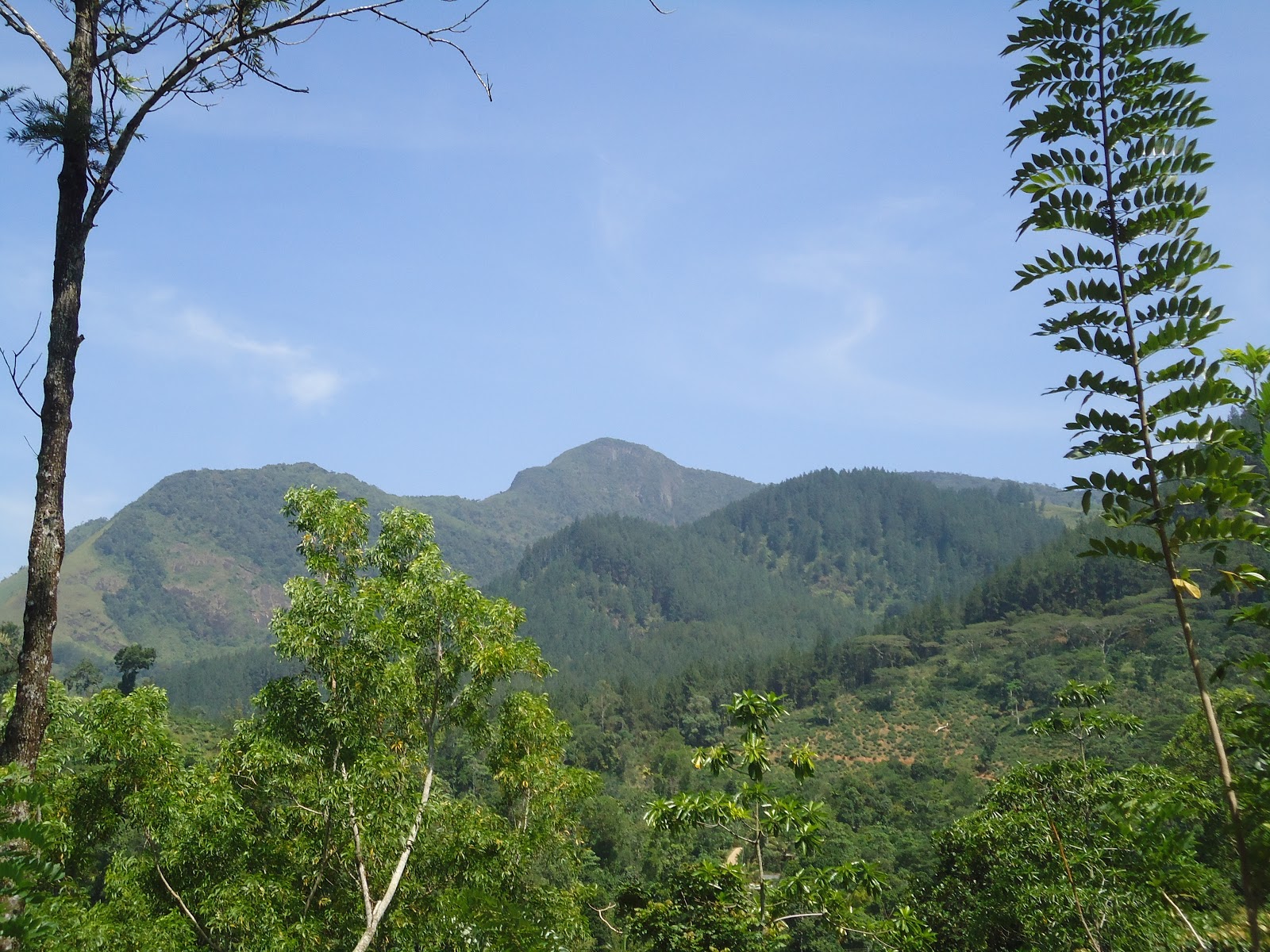 Hike to Hunnasgiriya - Kandy - Srilanka