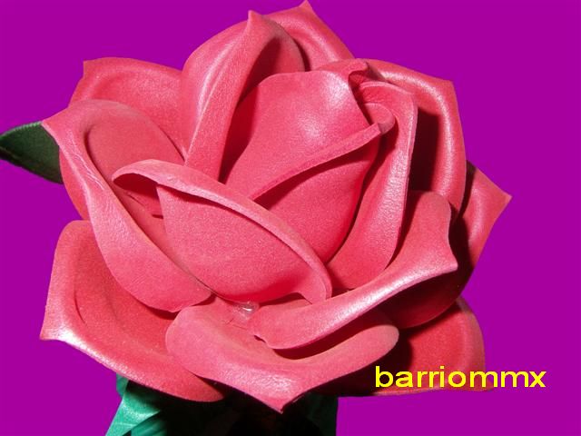 Rosas de foami - Imagui