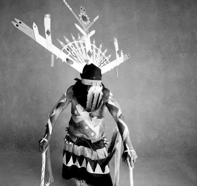 White Wolf : 14 Remarkable Portraits of Native America from Project 562