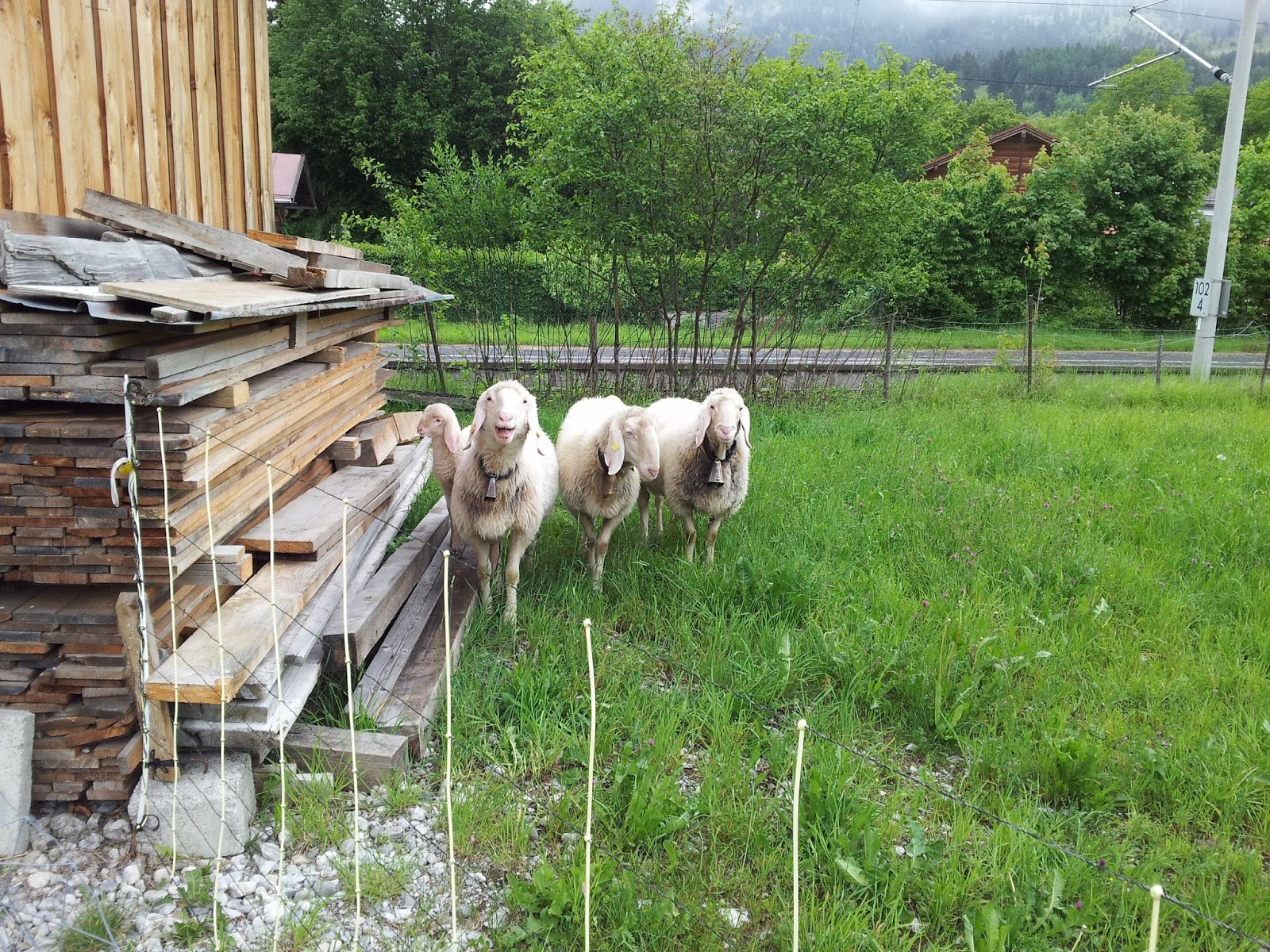 Germany: I Am More German Than You: The Alps! (May 23. & 24.)