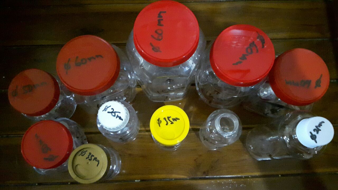 Rising Pack - Inti grafika: Contoh botol PET yang disegel dengan Segel ...