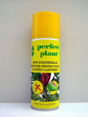 fitofarmacia.ro: Puricii albi daunatori pentru plante