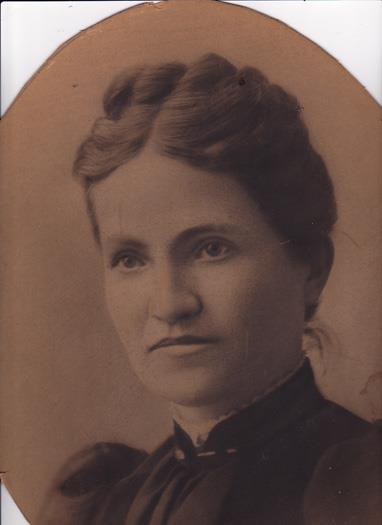 Leaf, Twig & Stem: Setting the Scene- Ellen Freed Benn