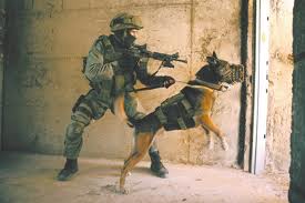 Israeli Special Forces : YAMAM – " israeli swat unit " the best police ...