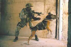 Israeli Special Forces : YAMAM – " israeli swat unit " the best police ...