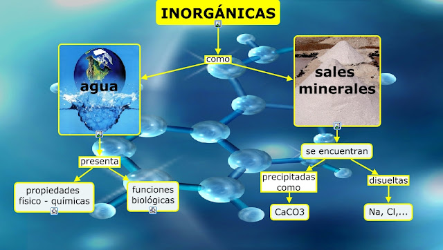 Ciencia, Tecnología y Ambiente en Santa Anita: Biomoléculas Inorgánicas