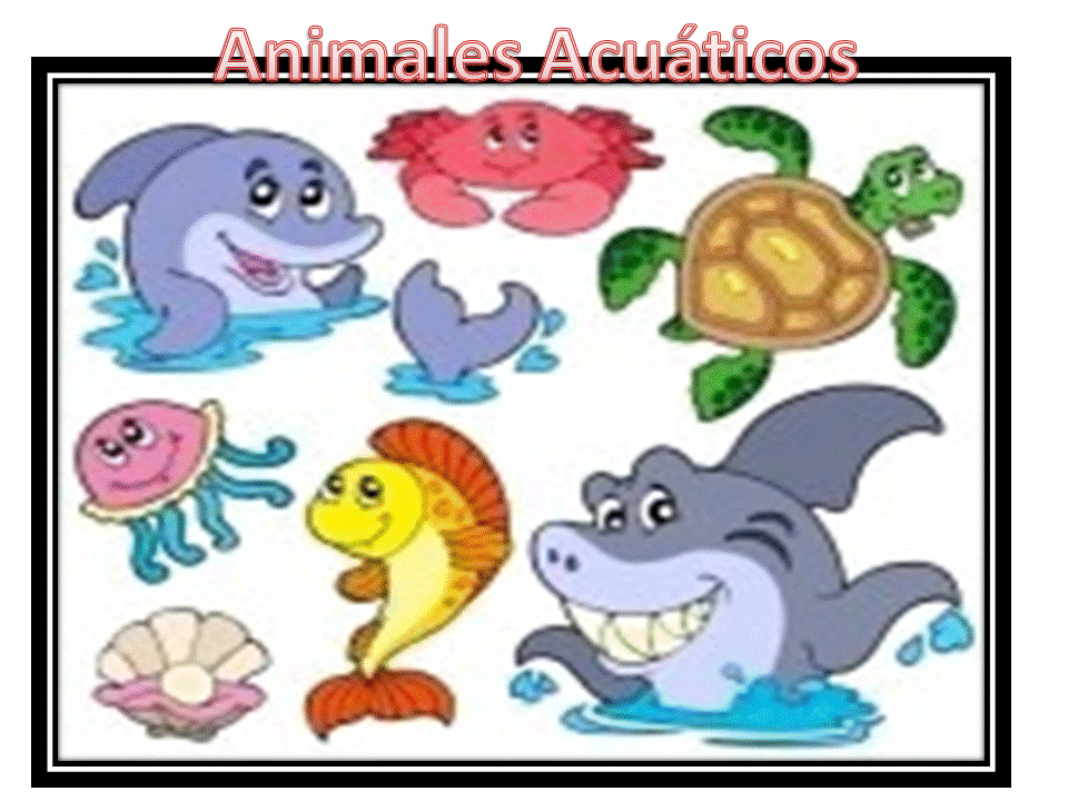 Mundo Acuático