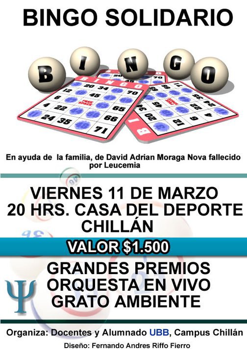 Blog de ChillanActivo: Bingo Solidario en Chillán