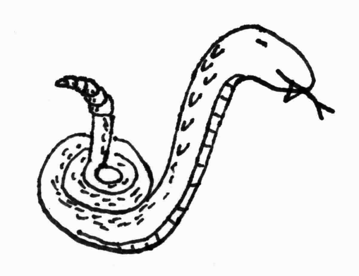The Archive of Broken Drawings. Est. 2011: I've been drawing snakes ...