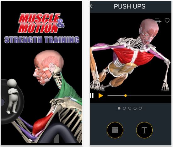 Best Sport, Health and Fitness Apps for iOS and Android 2022 ...