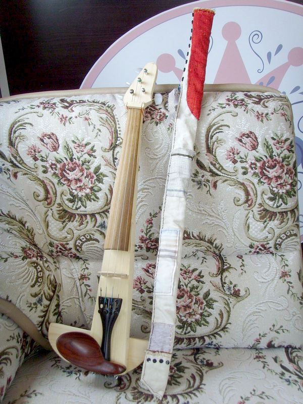 DIY Violin Project for the Future: Making Your Own Violin