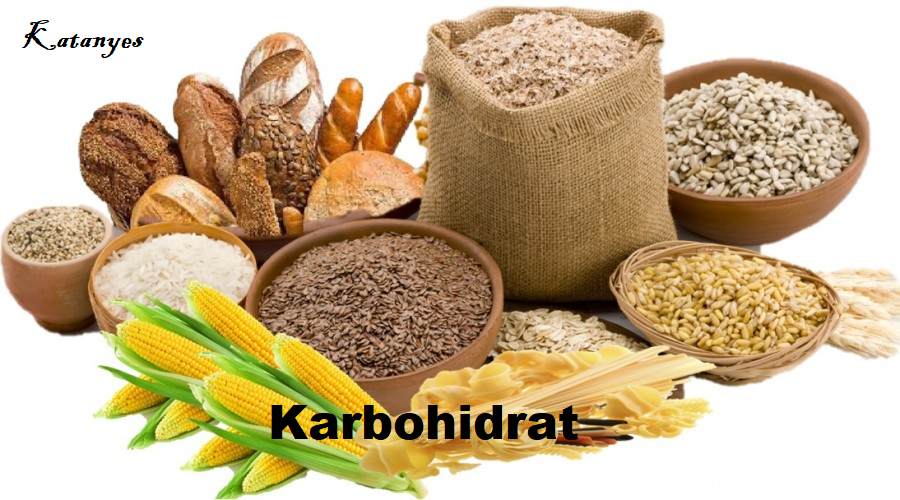 Mengenal Karbohidrat dan Beberapa Pengujian Karbohidrat I - Katanyes