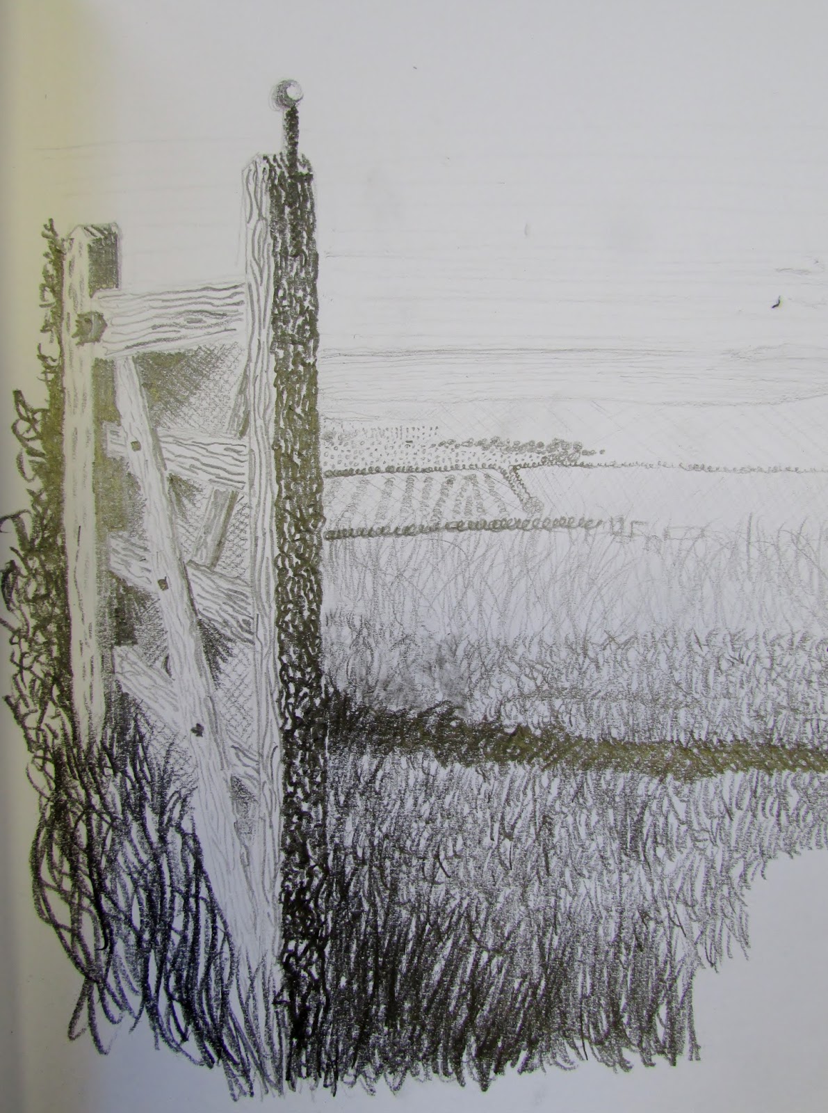 Isle of Wight Art Classes: More Basic Drawing Course - March 2016