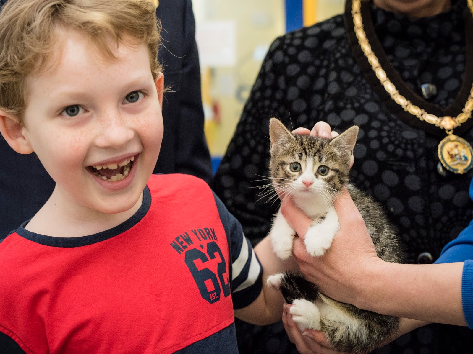 Cats Protection - Bridgend Adoption Centre Blog : Bailey's Story: 100 ...