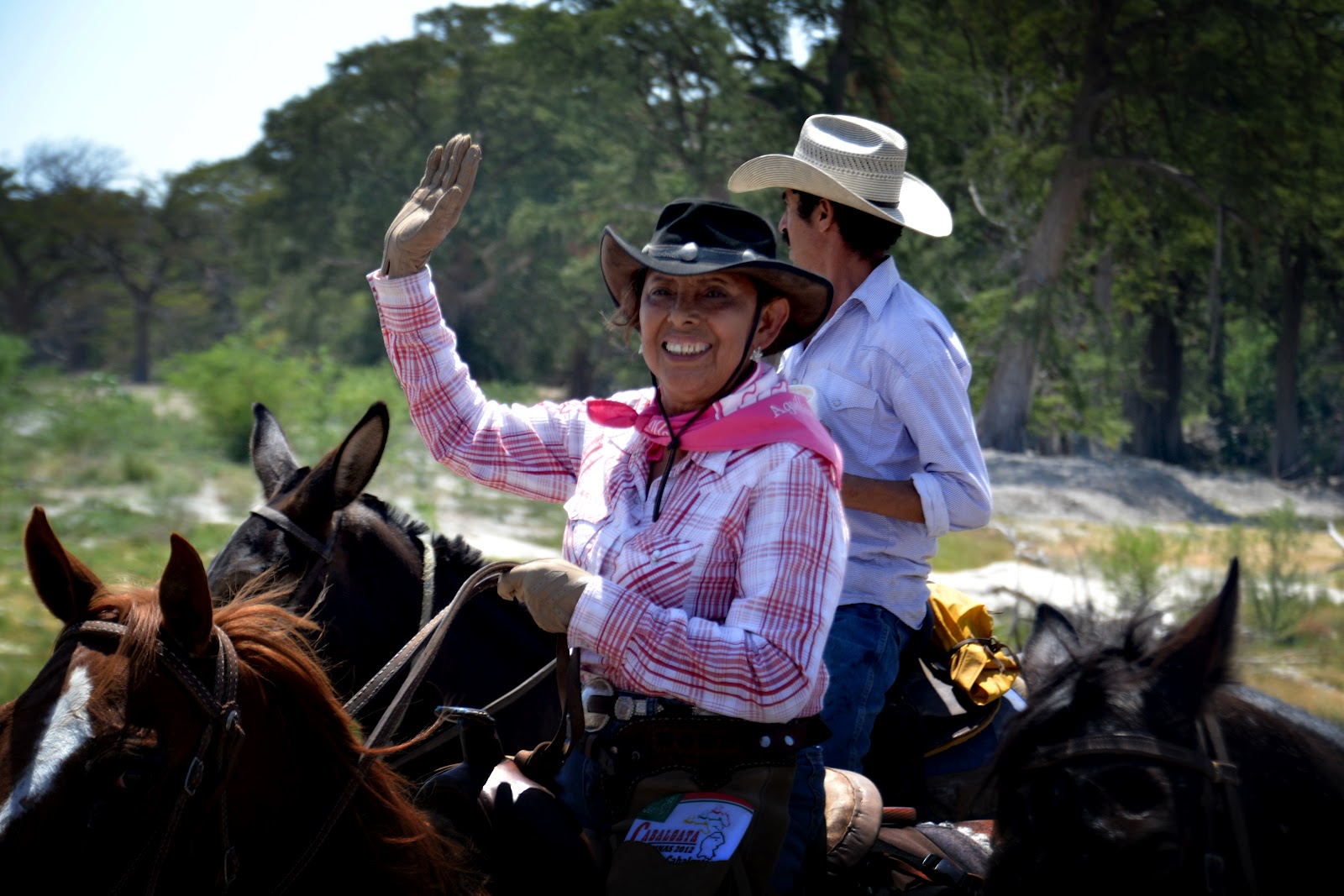 Alfredo Lara / Blog: Llegó la Cabalgata!
