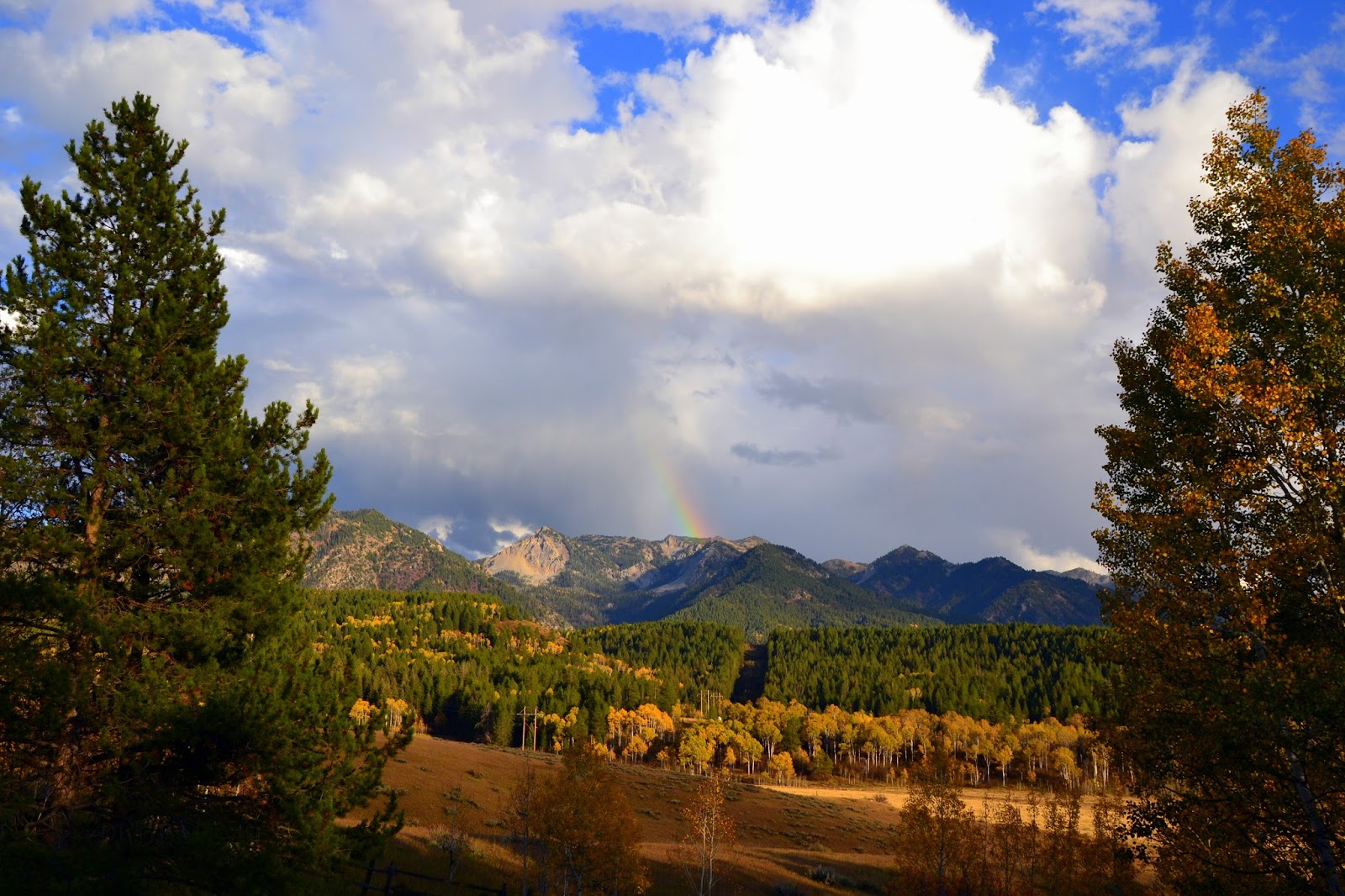 The View From Our Deck: The September 2016 Views