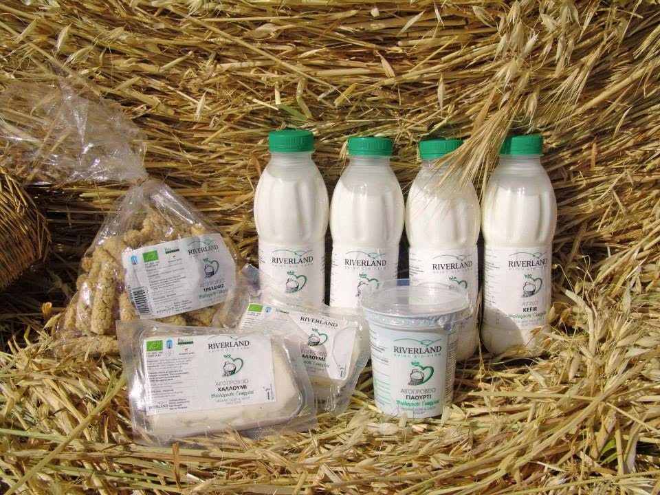 Produced in Cyprus: Riverland Diary Bio Farm – your first choice for ...