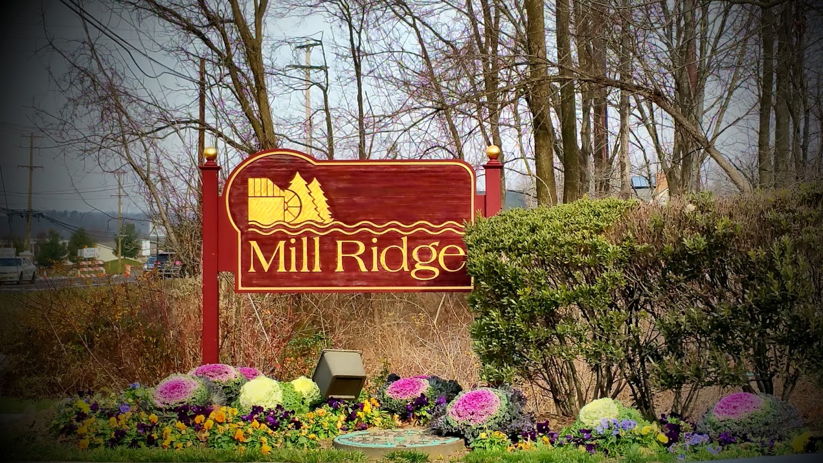 Mill Ridge Residents Jamison PA