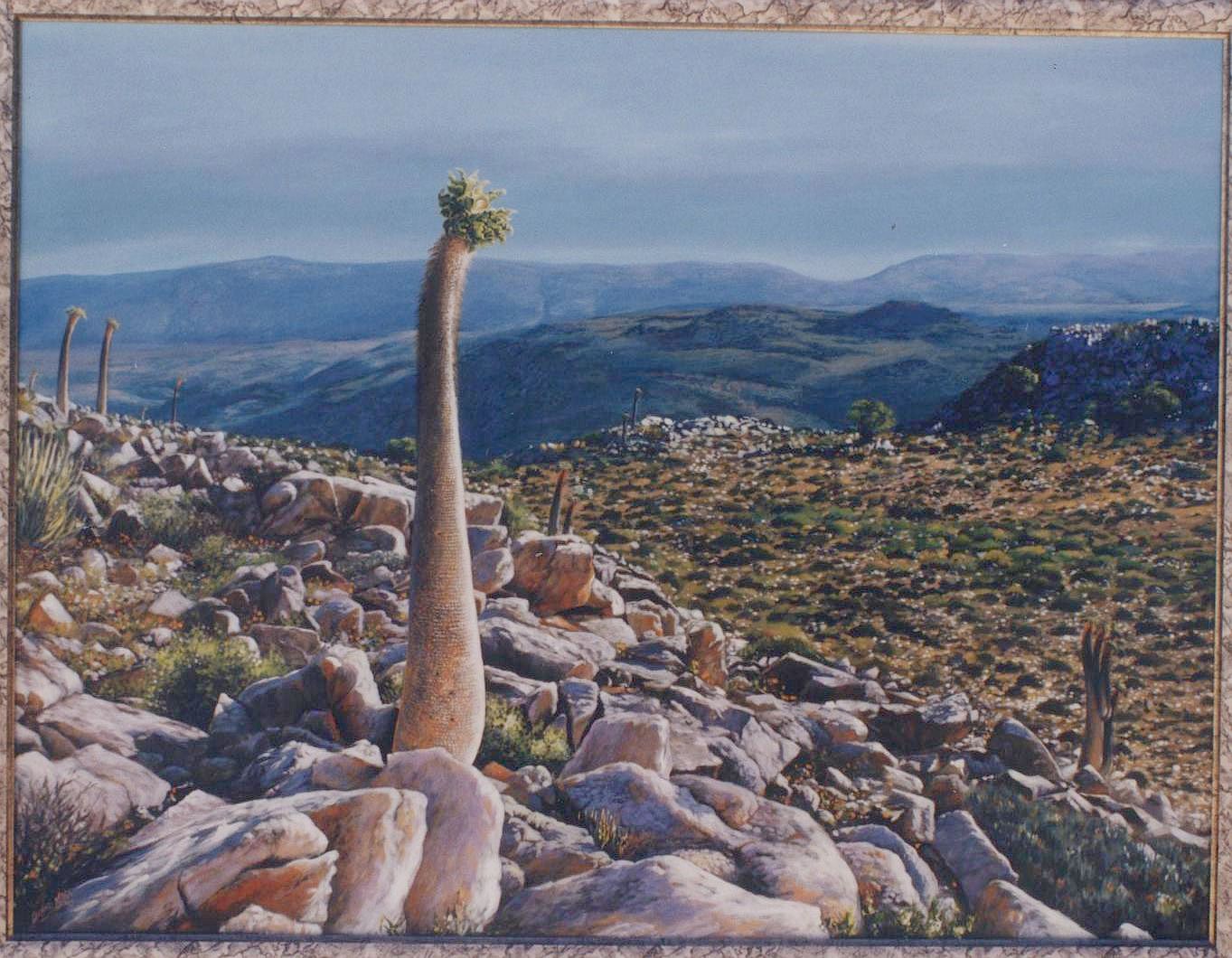 Gerhard Marx: Biography