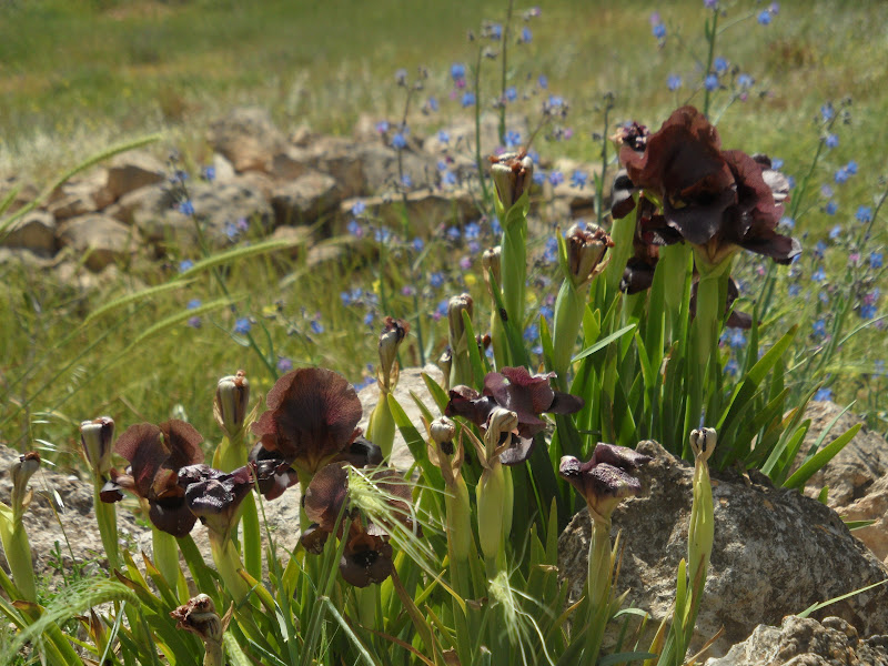 moonstruckcreations: April 2012