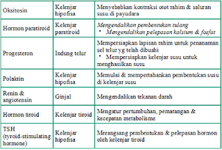 sikkahoder: Mengenal jenis dan klasifikasi Hormon dalam tubuh manusia
