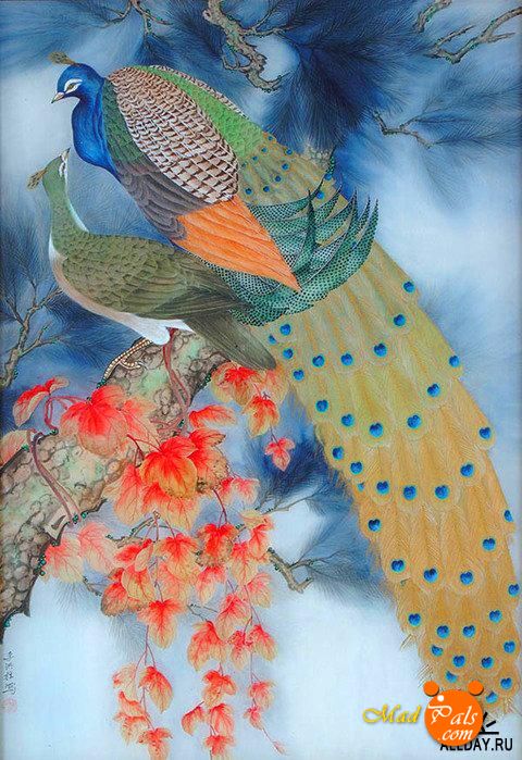 Amazing Collection For All: VERY BEAUTIFULL PAINTING MAYUR