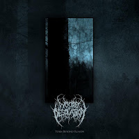 amplifiedstrawberry: Review: Woods of Desolation - Torn Beyond Reason