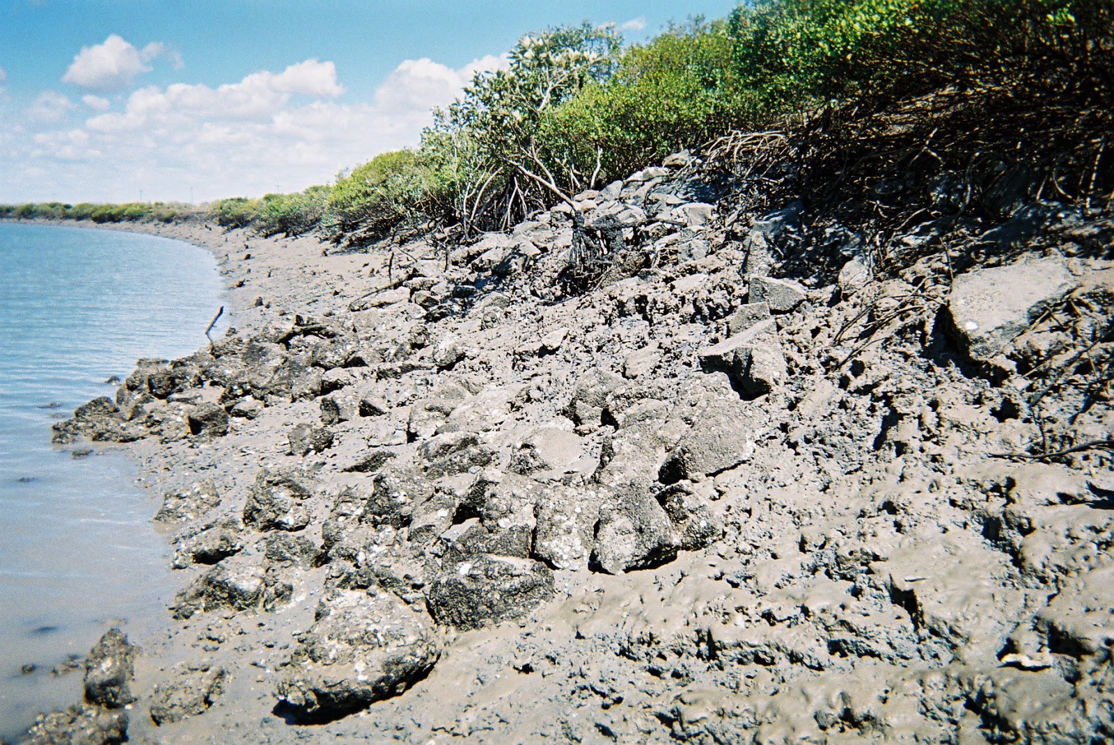 450 million years of Port Alma Fossil Heritage Central Queensland