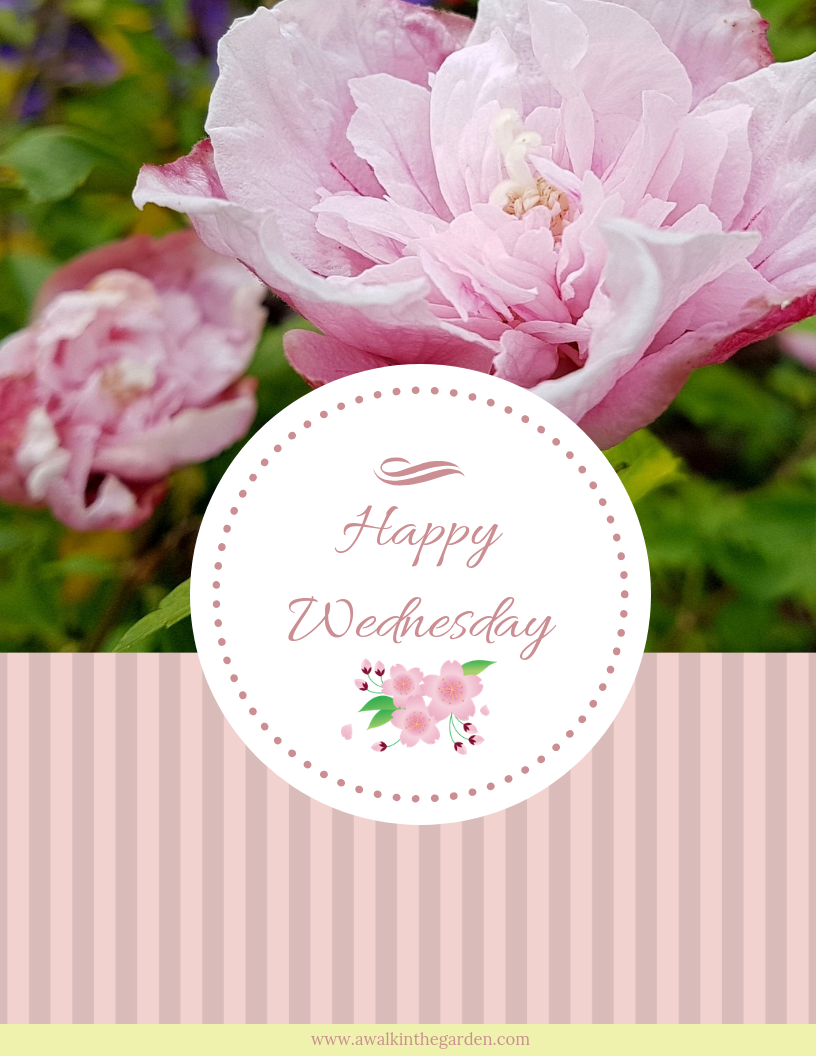 A Walk In The Garden Greetings: Daily eCards