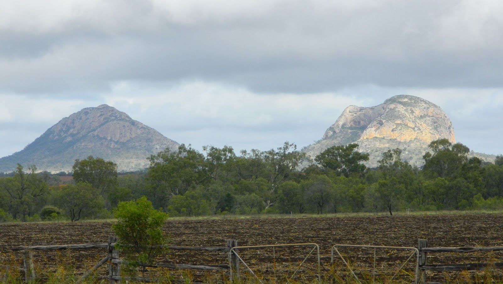 All Aussie Adventures: MOUNT BRITTON / HOMEVALE NATIONAL PARK