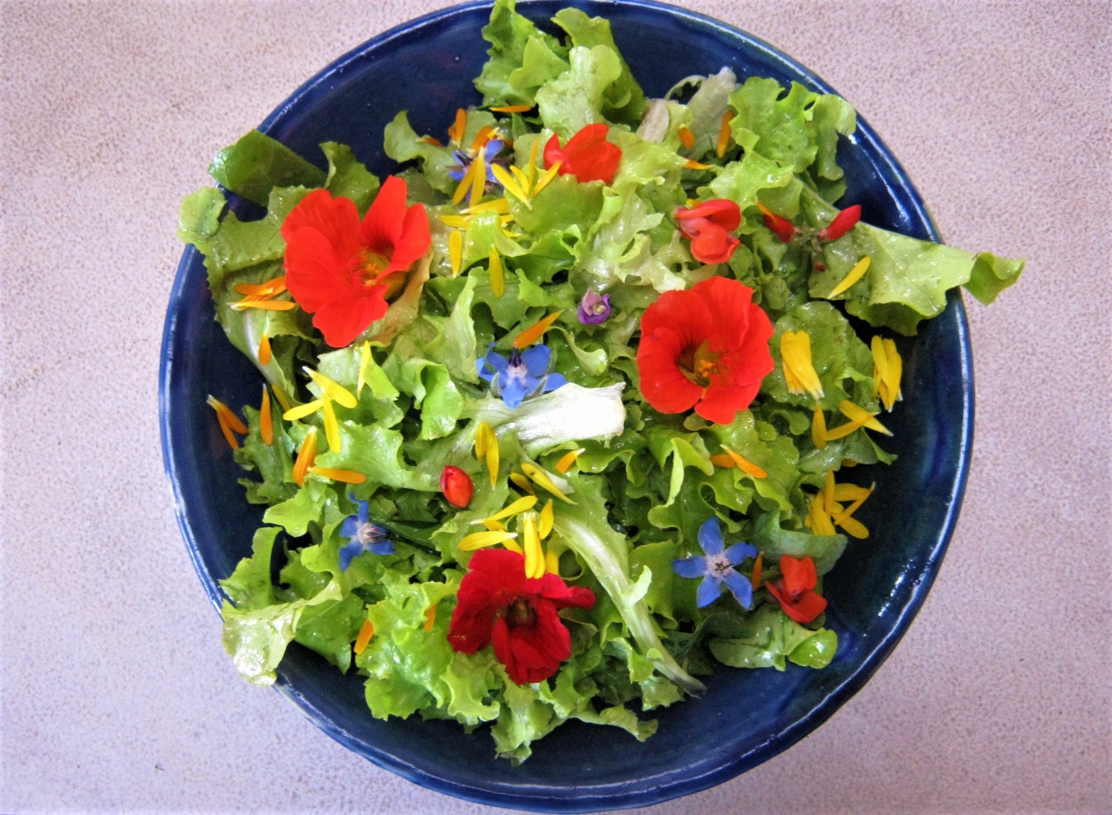 Enchanted Conversation: ARCHIVE ONLY : FAIRY TALE FOOD & RECIPE OF THE ...