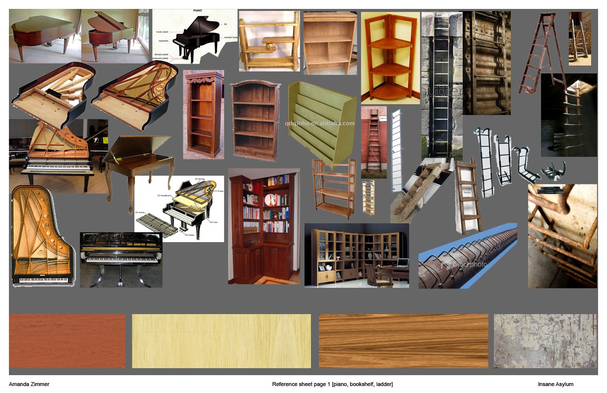 Amanda Zimmer's 3D: Insane Asylum reference sheets