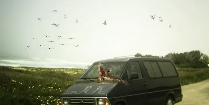 Attack of the Killer B 's!: Birdemic: Shock and Terror