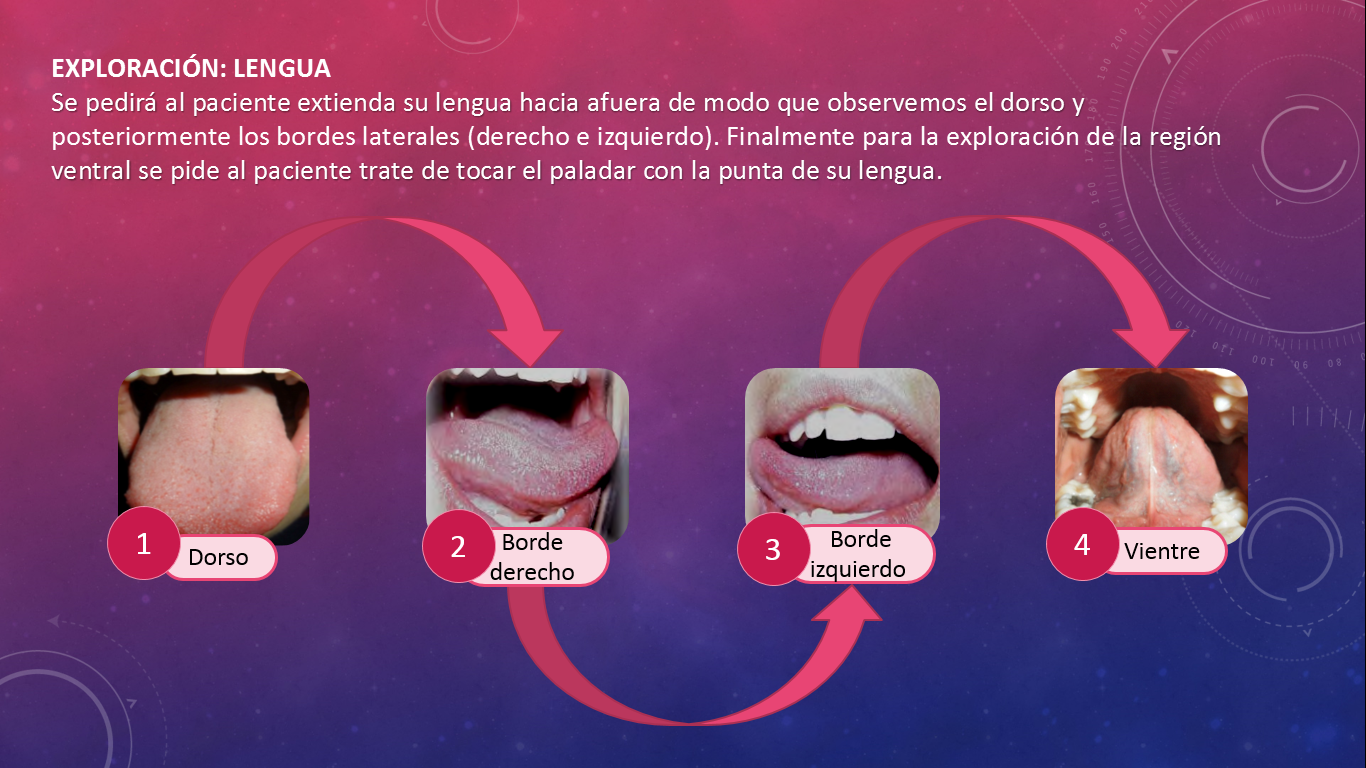 Alteraciones Bucales: EXAMEN FÍSICO: EXPLORACIÓN DE CABEZA Y CUELLO