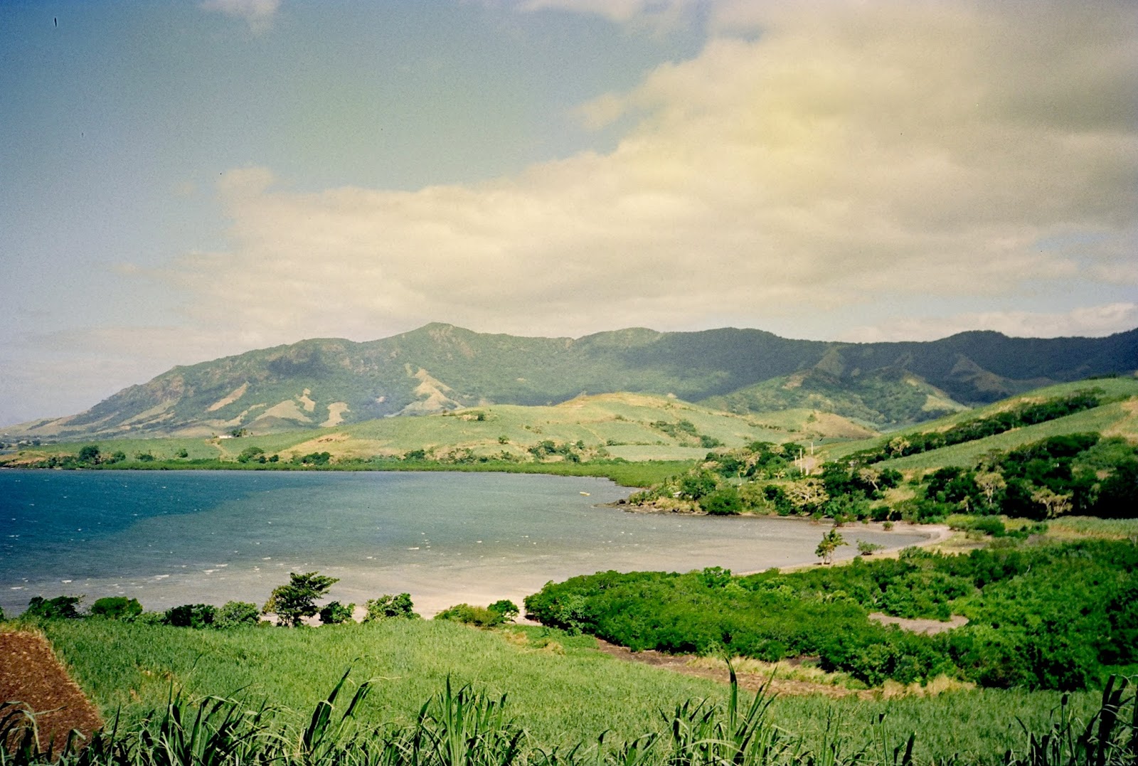 Indian Fijian Genealogy: Old photos of Fiji