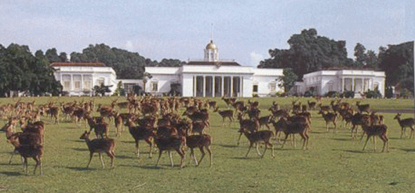 Guiding To Indonesia: Bogor Regency