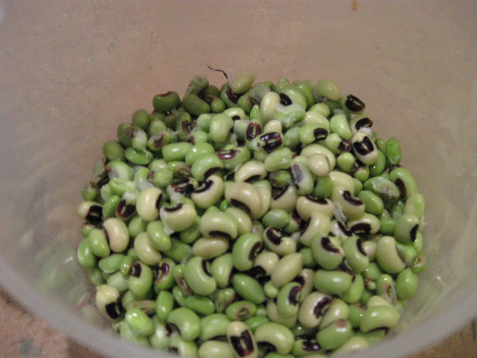 Growing Food in Florida: More cowpea uses