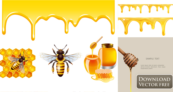 Con Ong và mật ong vector 1950 ~ MrPixelVn - Chia sẻ Đồ họa vector ...