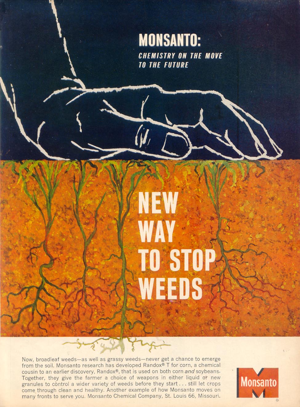 d r i n k s t e r: VEGAN CAT DISLODGES OLD HISTORY