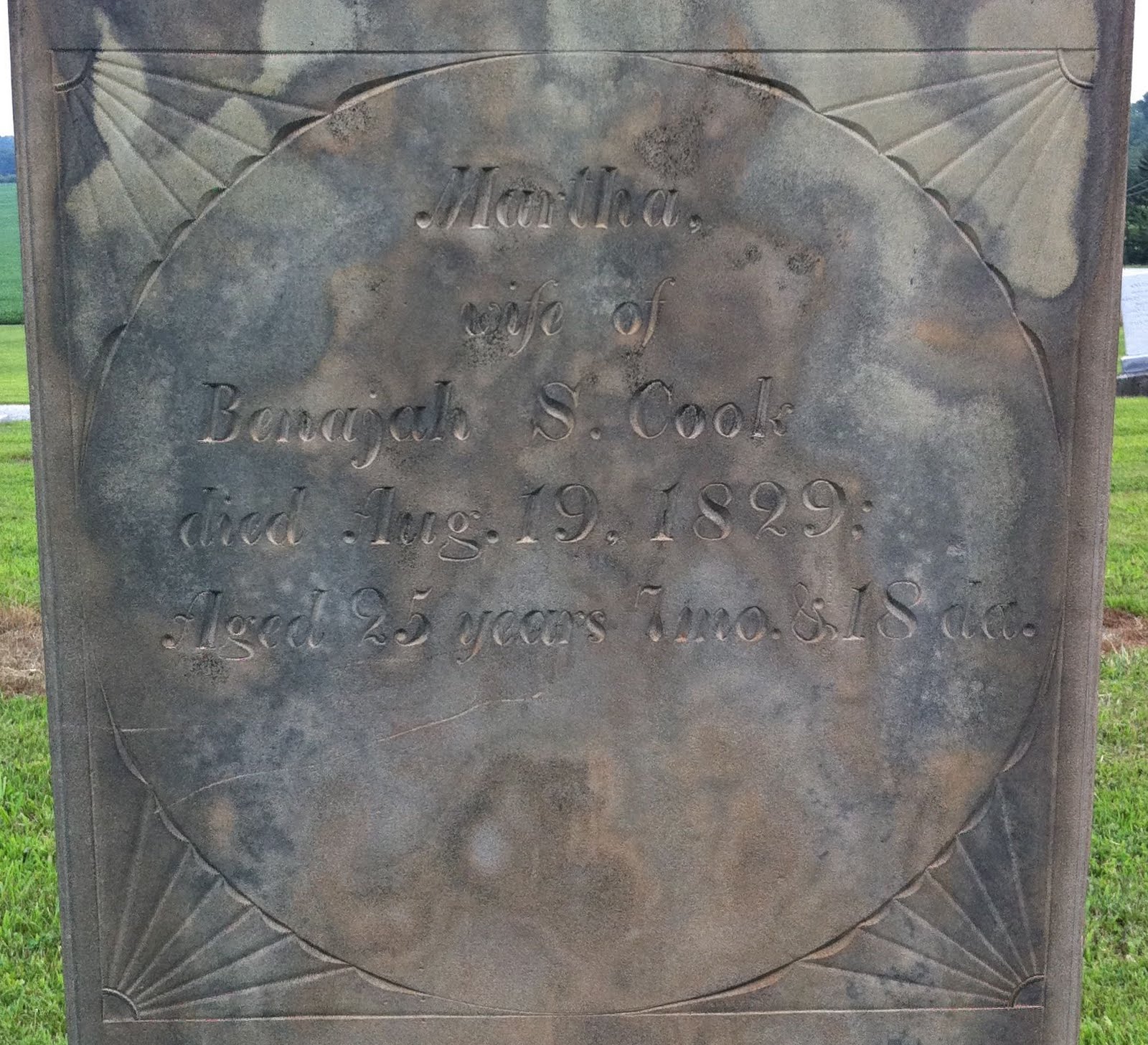 Gravestoned: Epitaph: And oh i panted for the skies