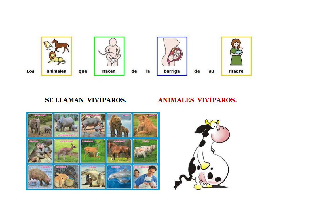 Los Animales y sus características