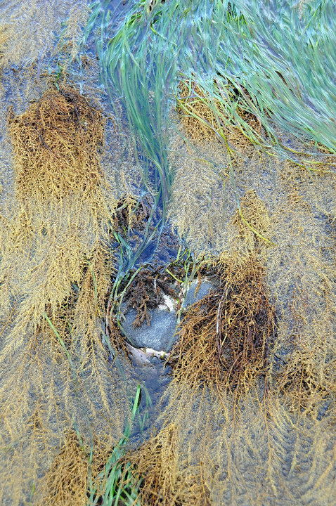 Haida Gwaii Tourism: Birthdays and Beaches on Haida Gwaii