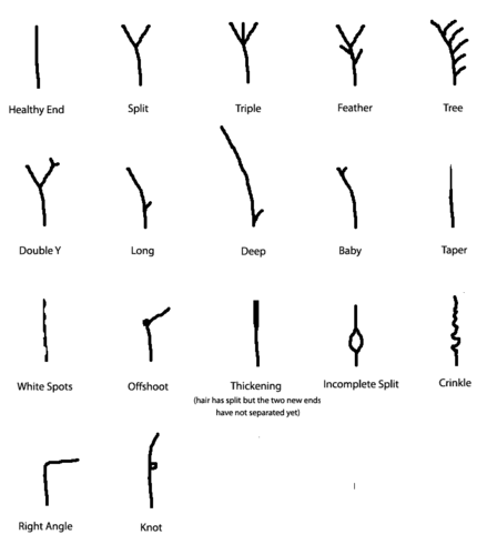 Finding Joy in the Journey...Of Life: Split Ends vs. Frizz