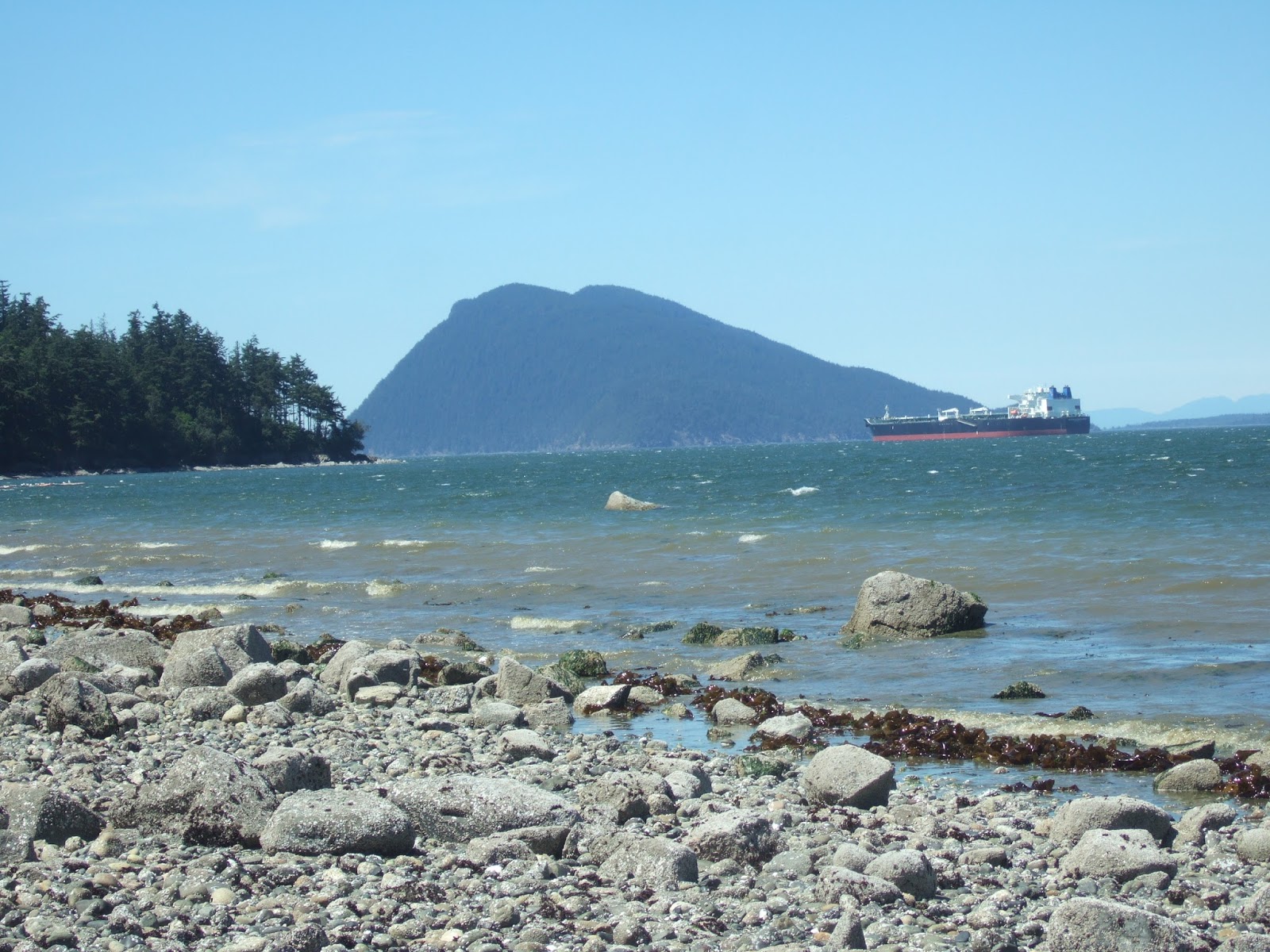 Reading the Washington Landscape: Oil and Fuel Ship Parking at Samish Bay