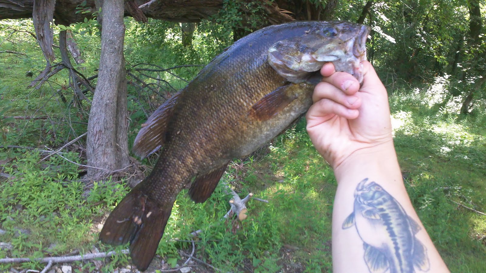 Illinois Wisconsin Fishing: milwaukee river smallmouth bass redemption