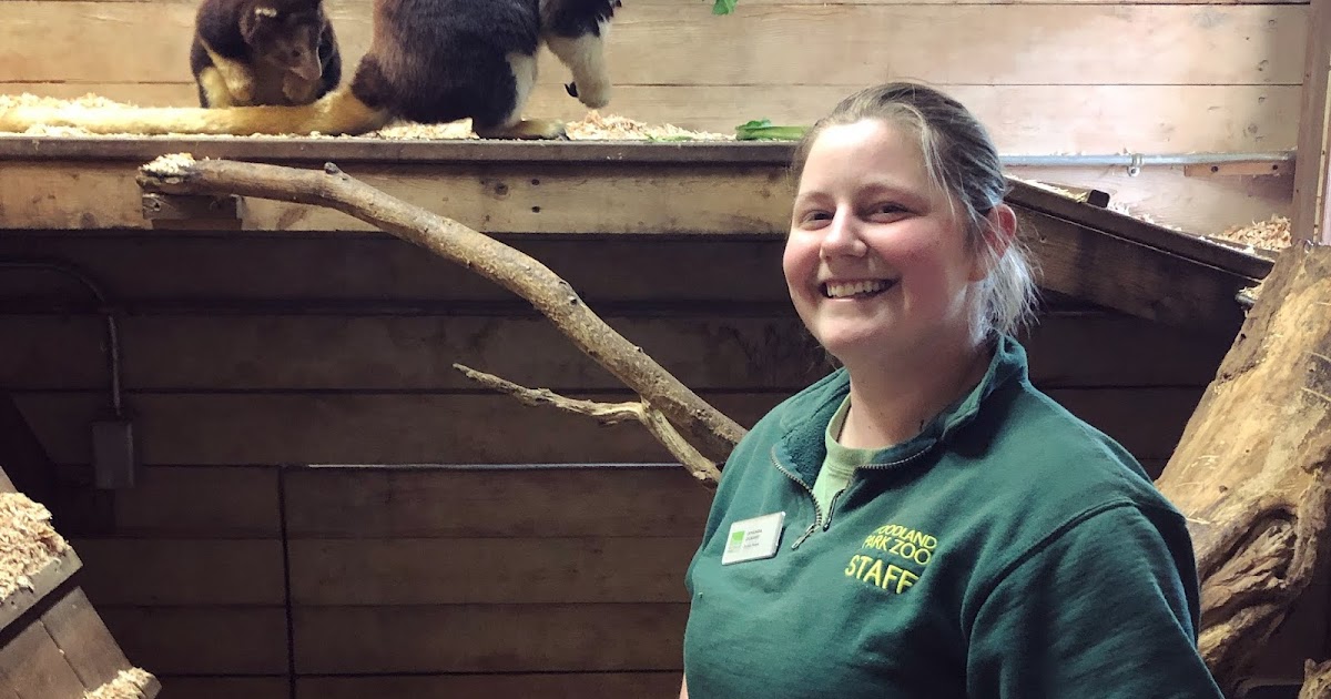 Keeper Spotlight with Amanda and Tree Kangaroos