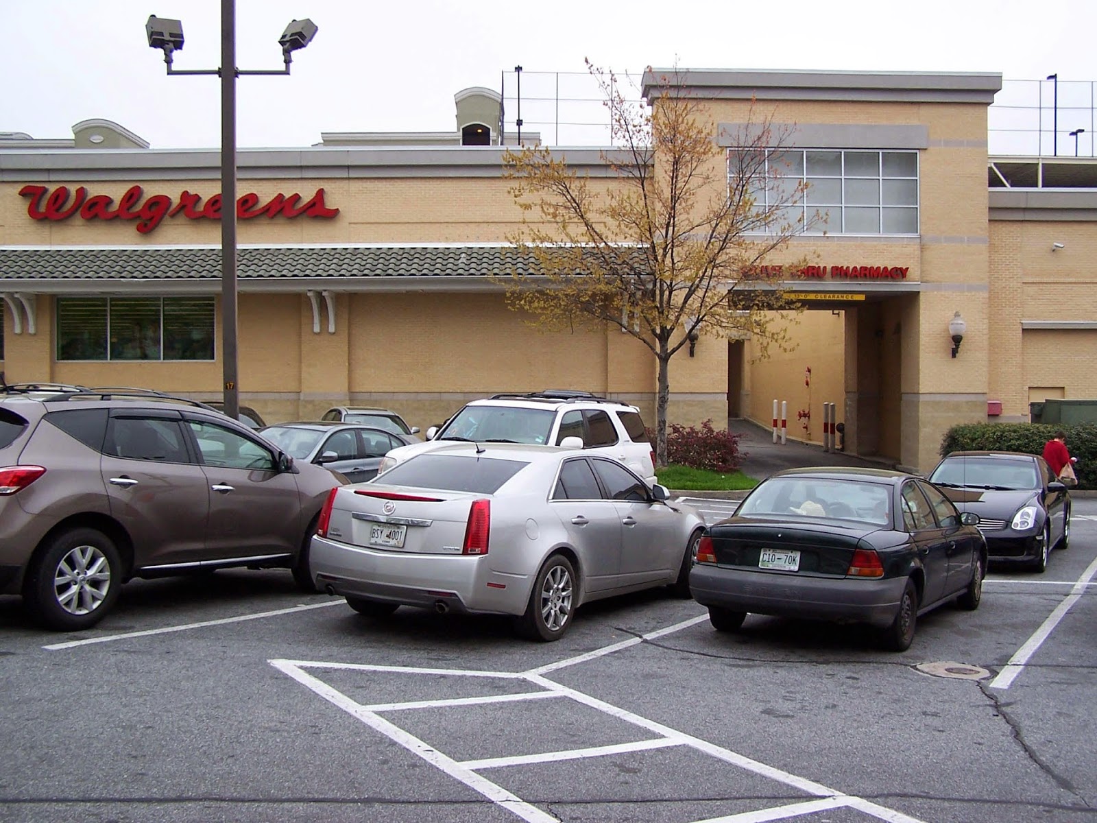 Return to Atlanta: Rio Mall and the Globe of Frogs