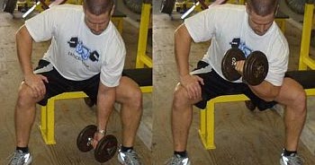 Workout For Arms: Concentration Curl