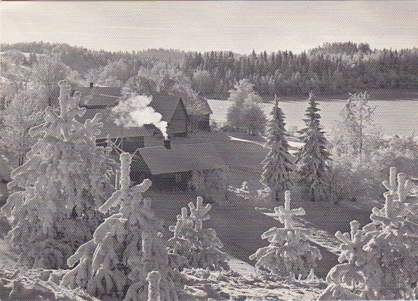 Inno ja Irja kohvik: Eesti parim aastaaeg on - talv!